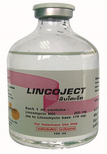 บริษัท ไทยนาโอกะ ฟาร์มาซูติคอล จำกัด : ลินโคมัยซิน ไฮโดรคลอไรด์ ...