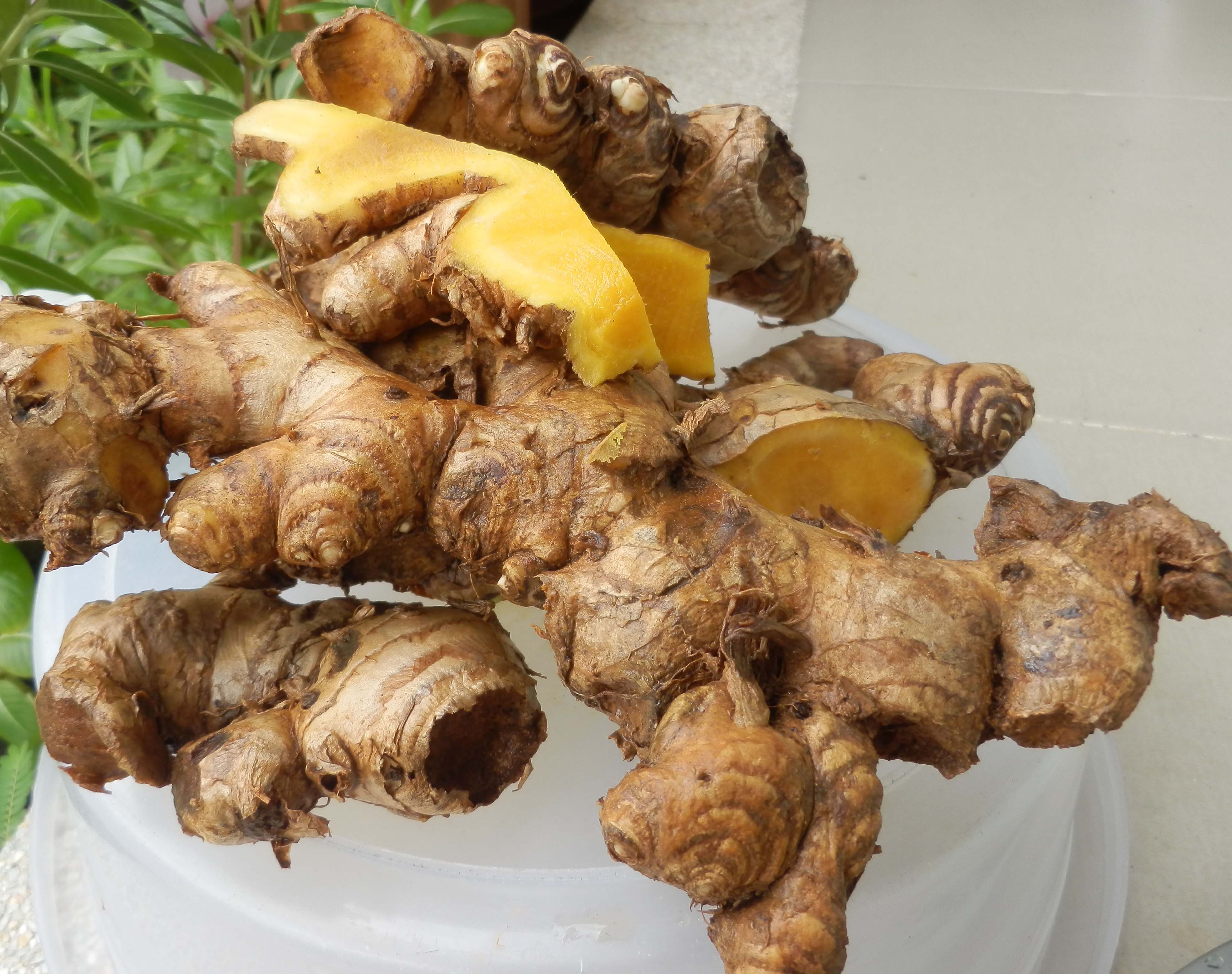 KNOWLEDGE สมุนไพรแก้เคล็ด ขัดยอก : บริษัท มนทิพ1991 จำกัด | Montip 1991 ...